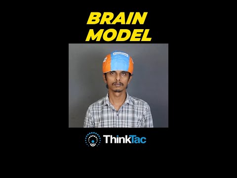 How To Make A Brain From Paper Science Project