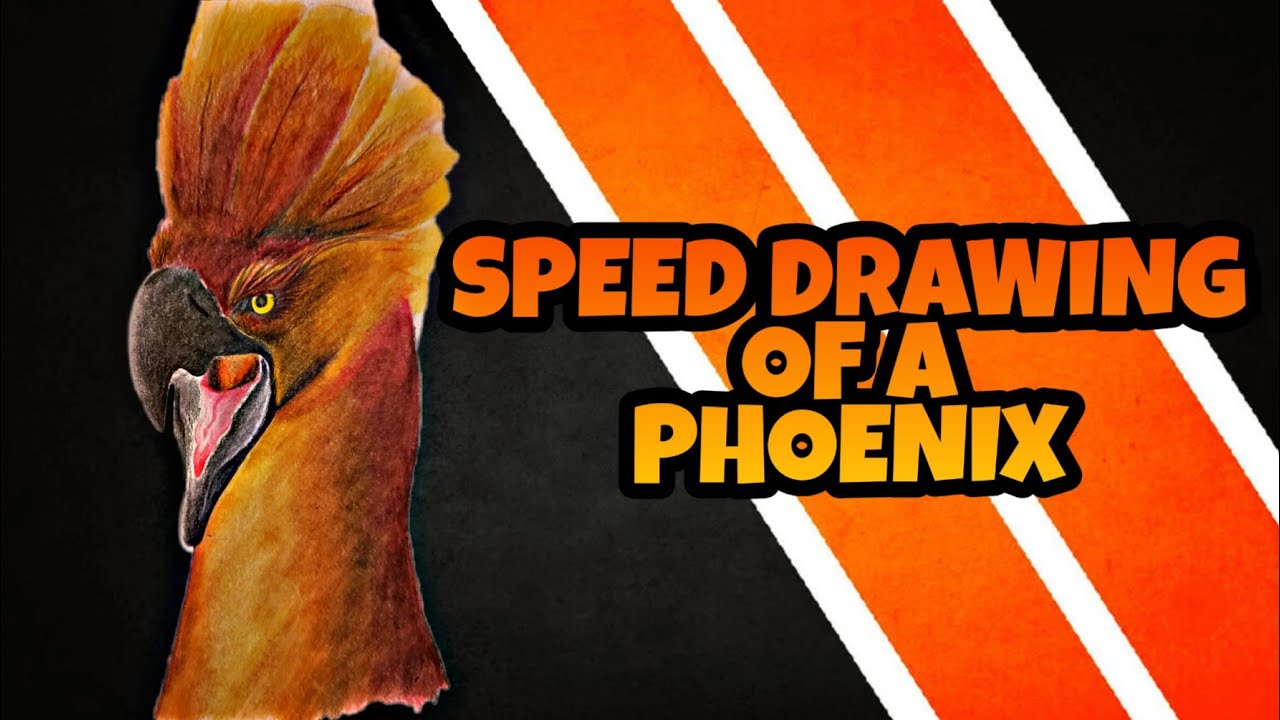 SPEED DRAWING OF A PHOENIX #Speeddraw #Phoenix - YouTube