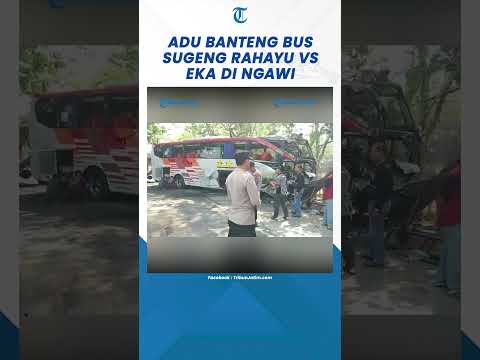 Update Kecelakaan Bus Sugeng Rahayu Vs Eka di Ngawi, 3 Orang Dilaporkan Meninggal Dunia