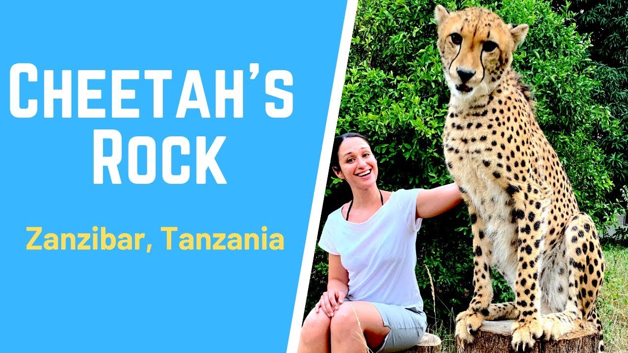 Fun Times at Cheetah's Rock - Zanzibar, Tanzania - YouTube