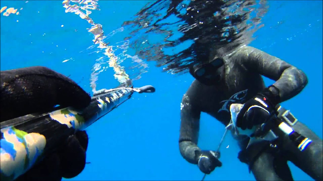 spear fishing moments 2 - YouTube