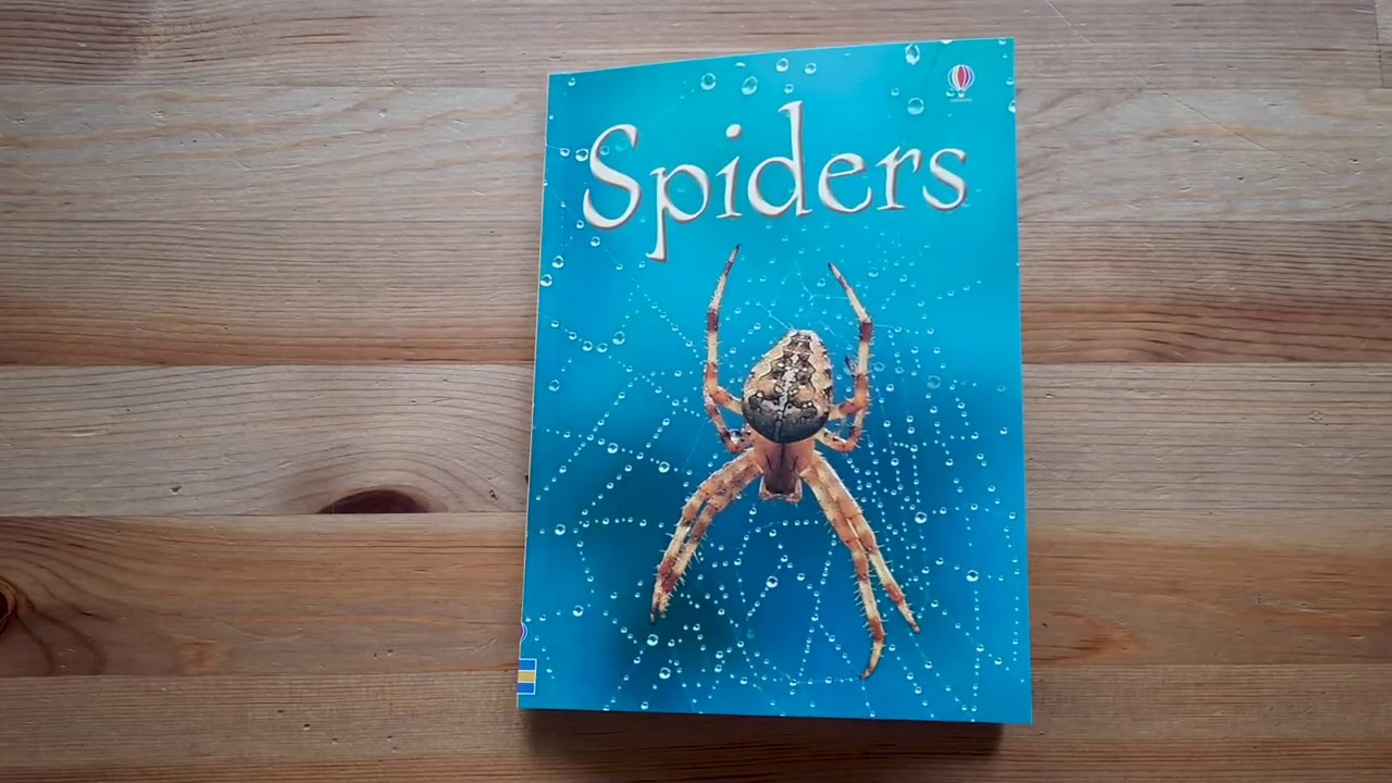 Beginners Spiders - Usborne - YouTube