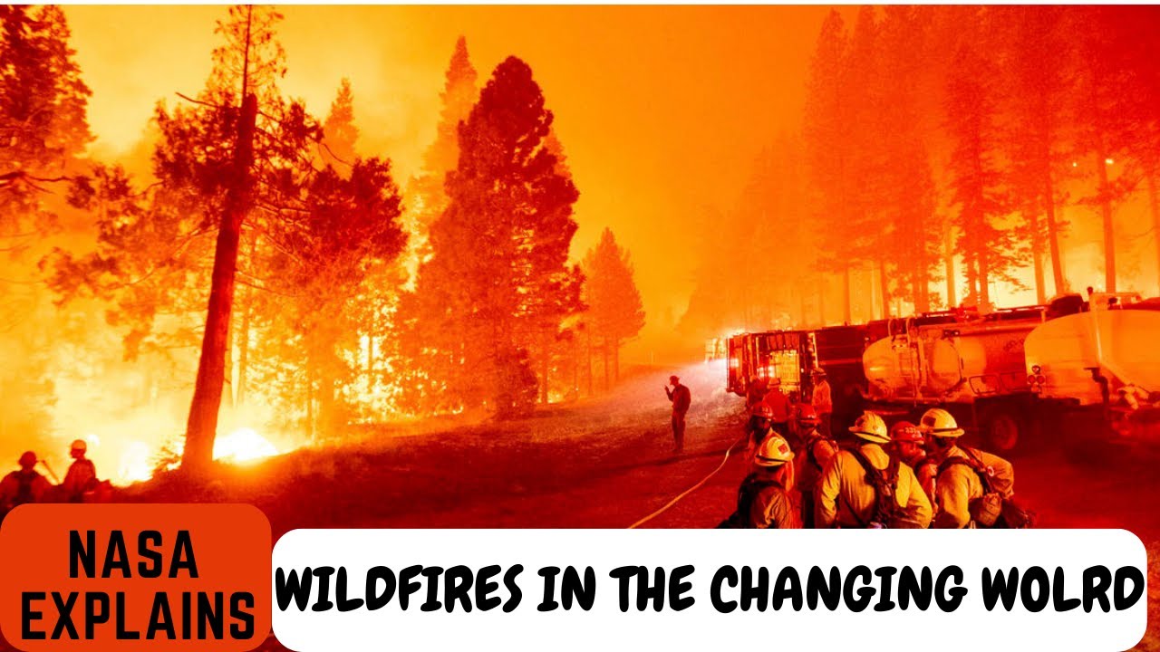 Why Wildfires are Increasing in the World? NASA Explains the Reason ...