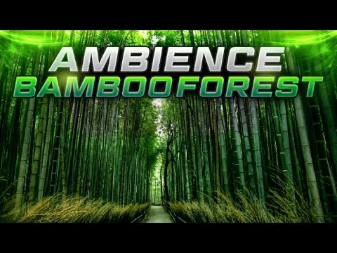 Ambient Video Game Music D&D – Bamboo Forest Ambience - Track 3 Preview ...