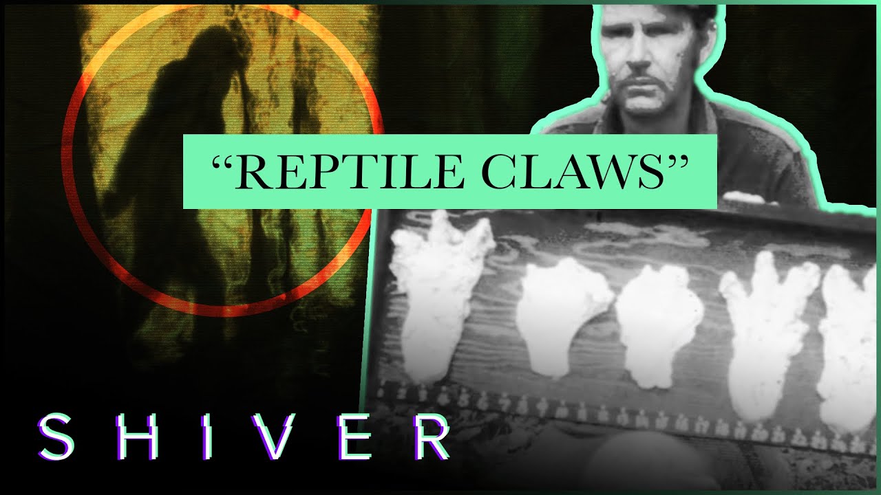 The Beast Of The Bayou: Louisiana's Terrifying Swamp Mystery ...