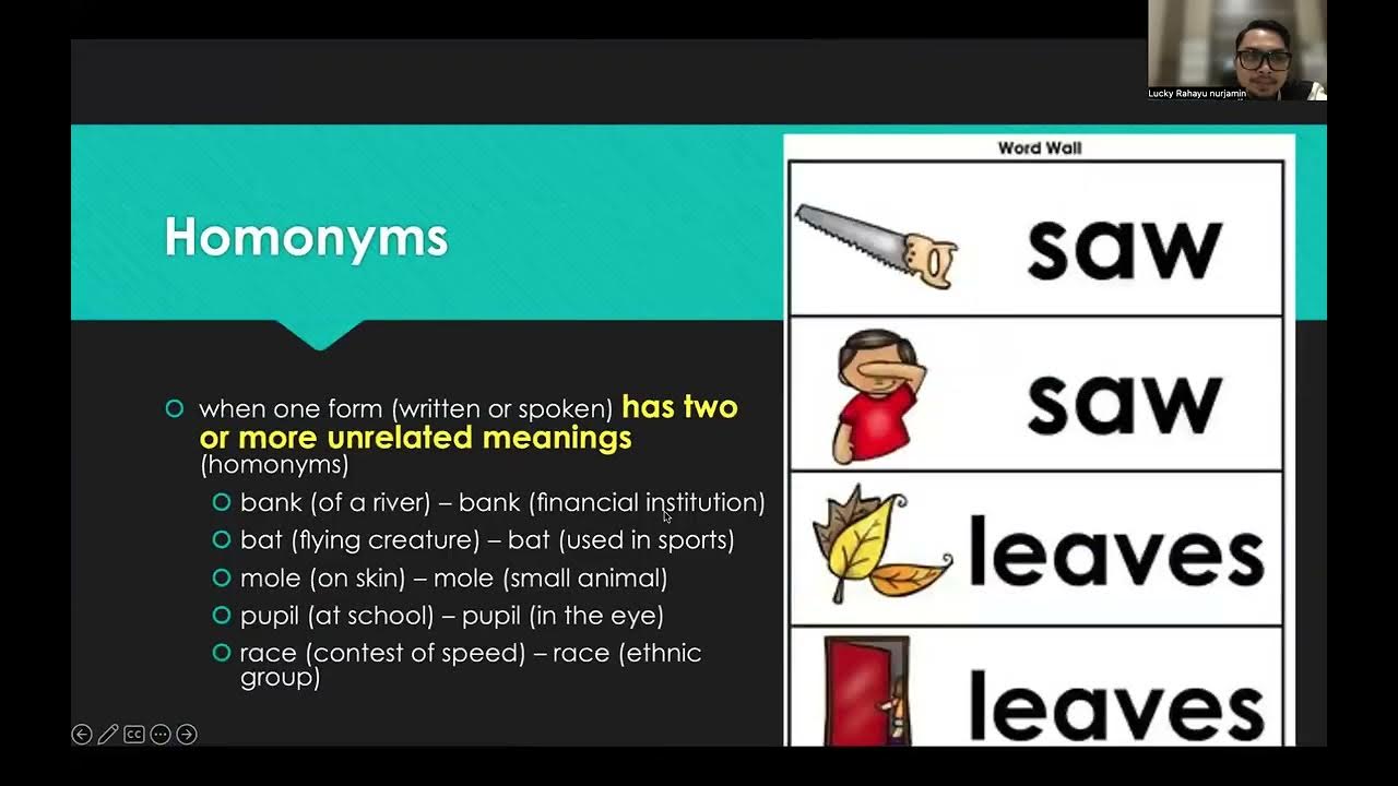 Lexical relations - YouTube