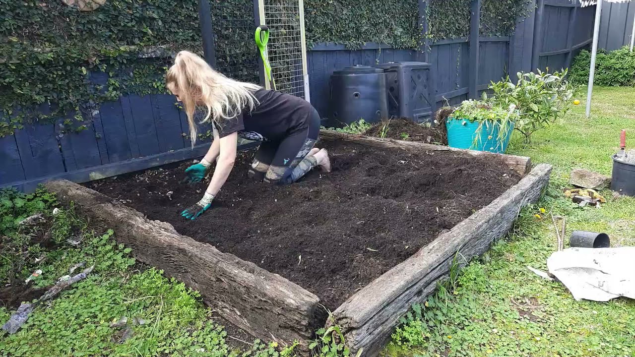 Preparing an Overgrown Vegetable Patch for Planting - YouTube