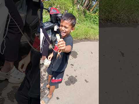 Berburu dikebun dapet londok 2 ekor