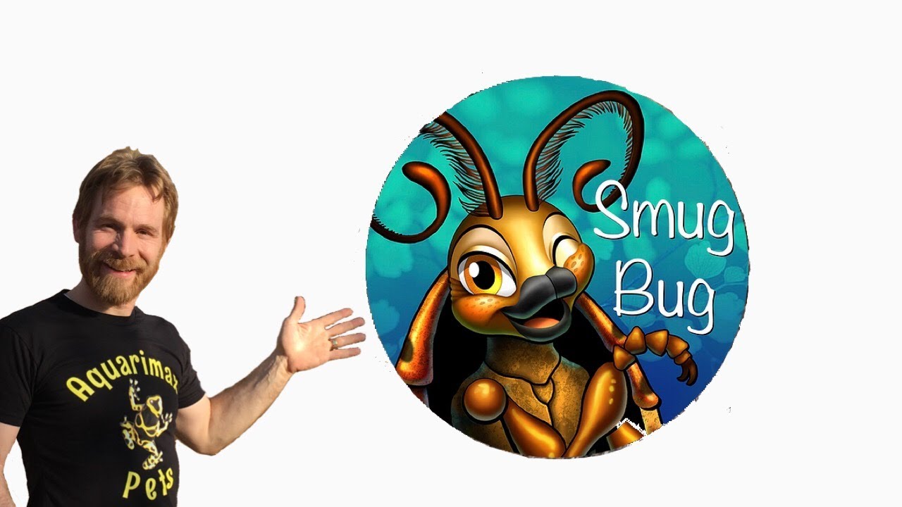 Interview with Smug Bug! - YouTube