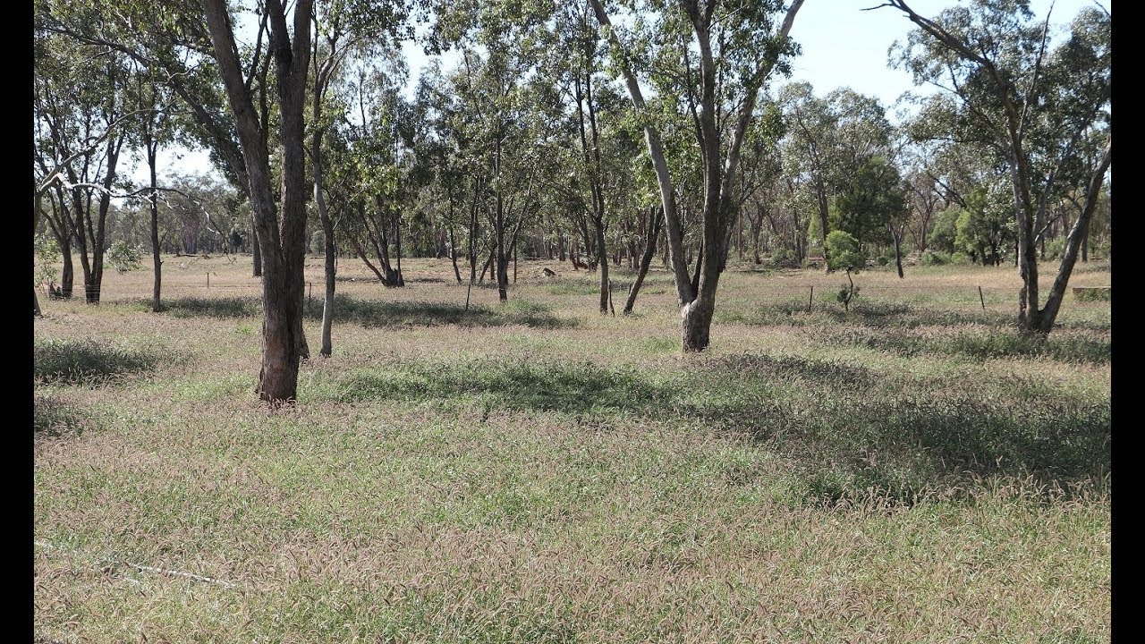 'Tartulla', Dunkeld, Qld. - YouTube
