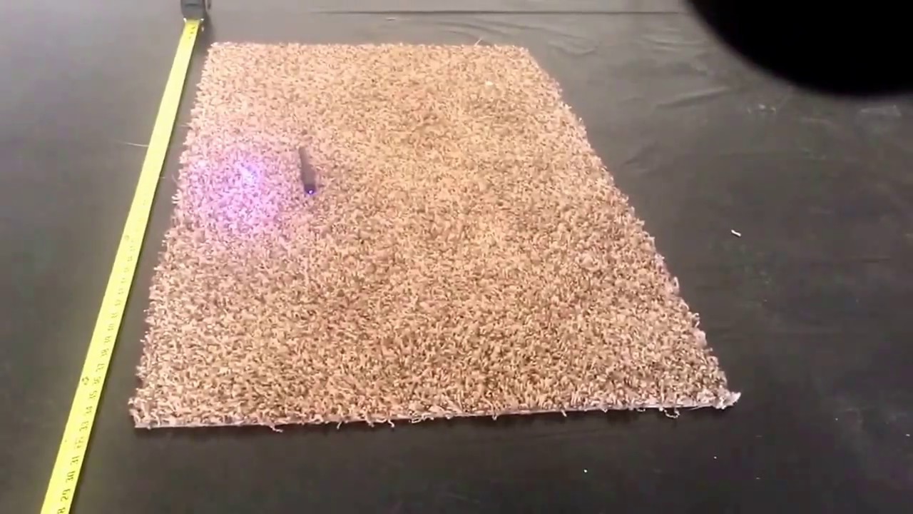 Carpet Cleaning UV Urine Detection Light - YouTube