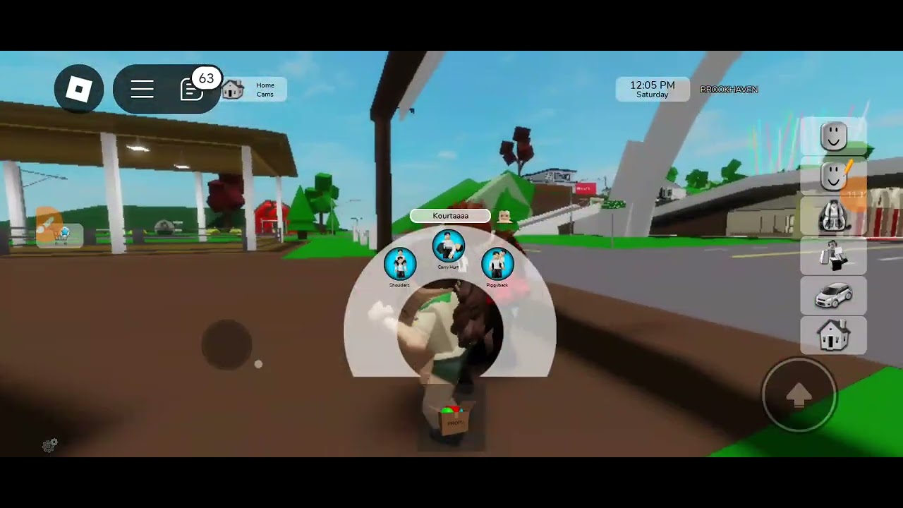 OMG!!!!! 😦😳 Brookhaven camping!!!!! - YouTube