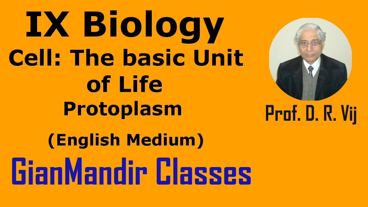 IX Biology | Cell: The basic Unit of Life | Protoplasm (English Medium ...
