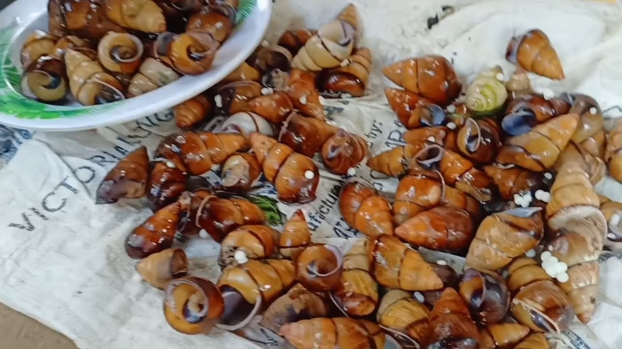 Ginisang Taklong Snail ( exotic food ) - YouTube