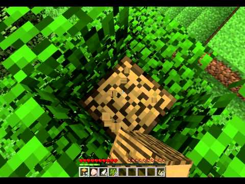 Minecraft- 1.rész