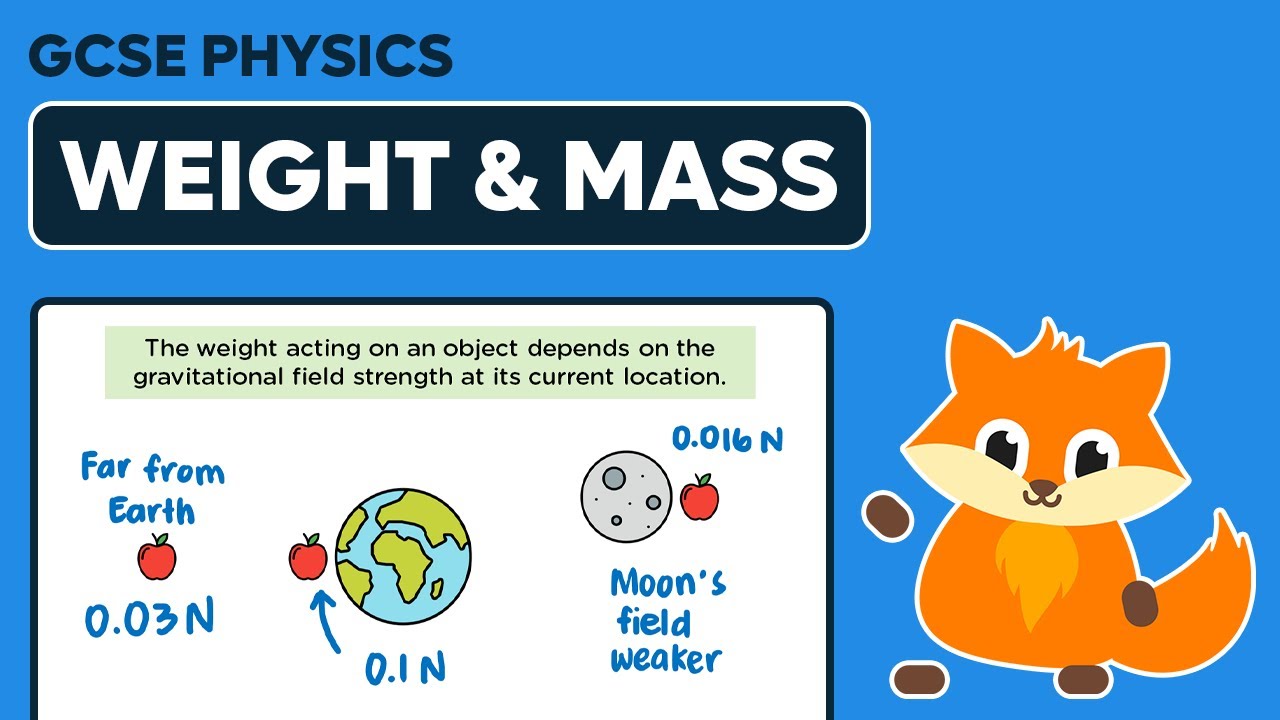 Weight & Mass - GCSE Physics - YouTube