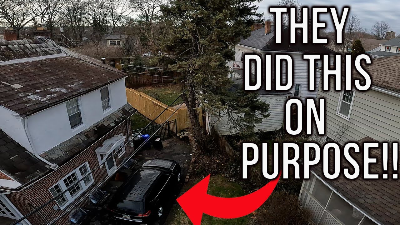 They REFUSED To Move Their Car Under This Tree Removal! - YouTube
