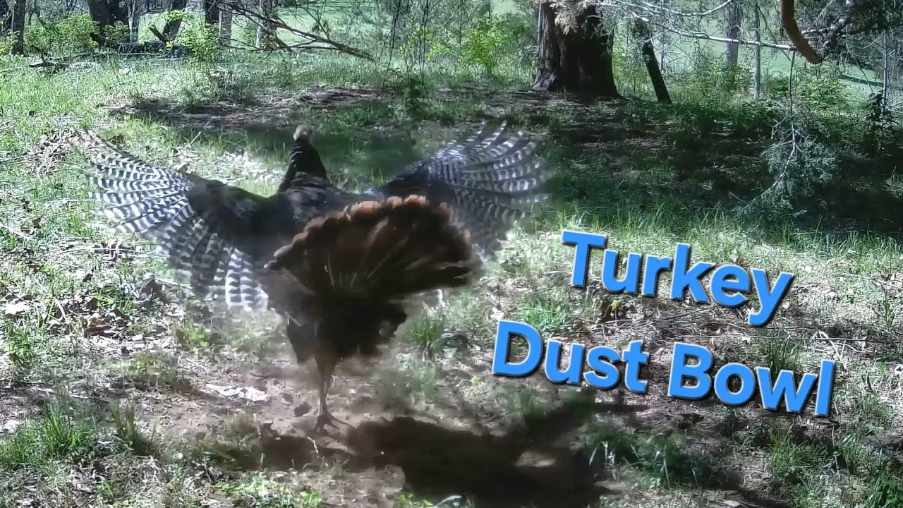 Turkey Dust Bowl - YouTube
