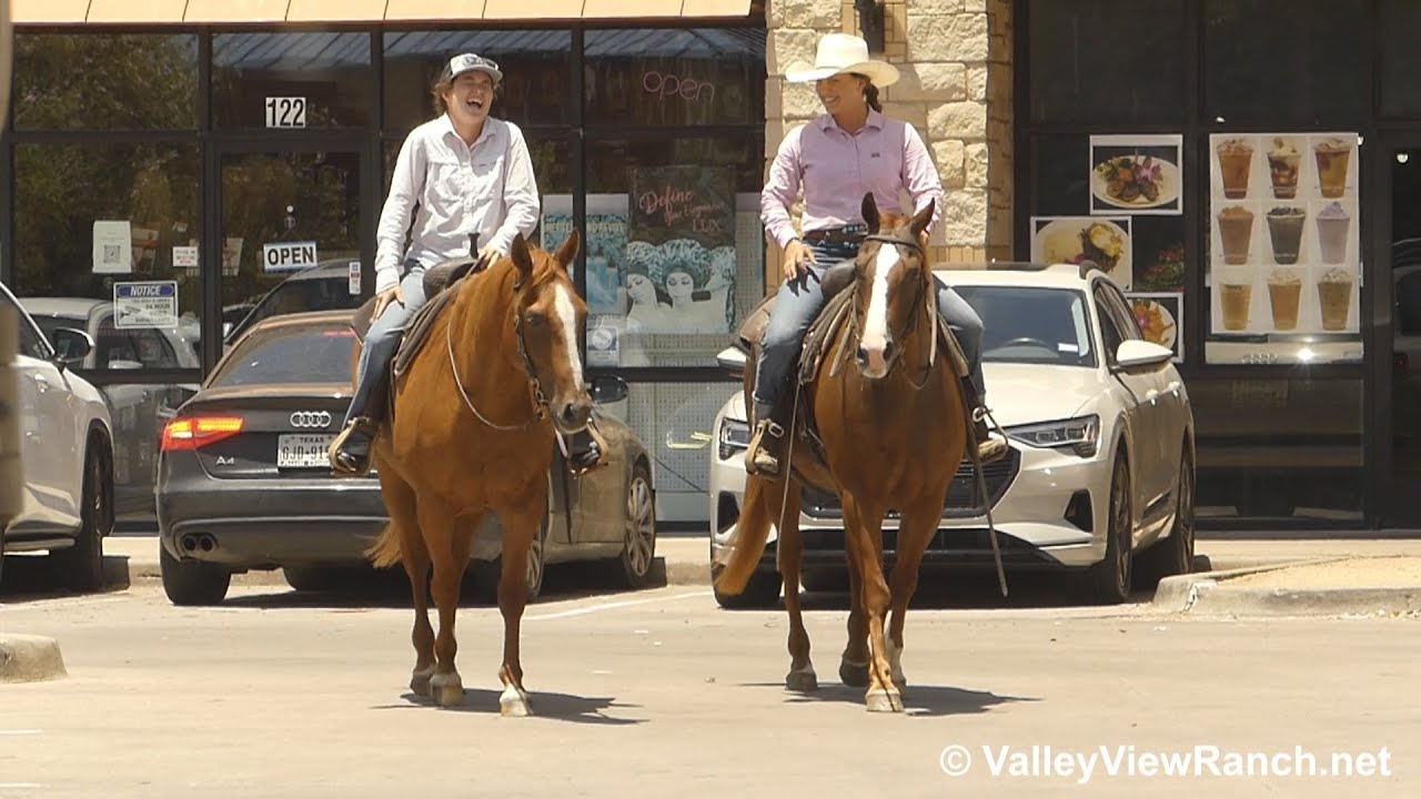 Dear Gus and Mr Catsnap - riding in town! - ValleyViewRanch.net - YouTube