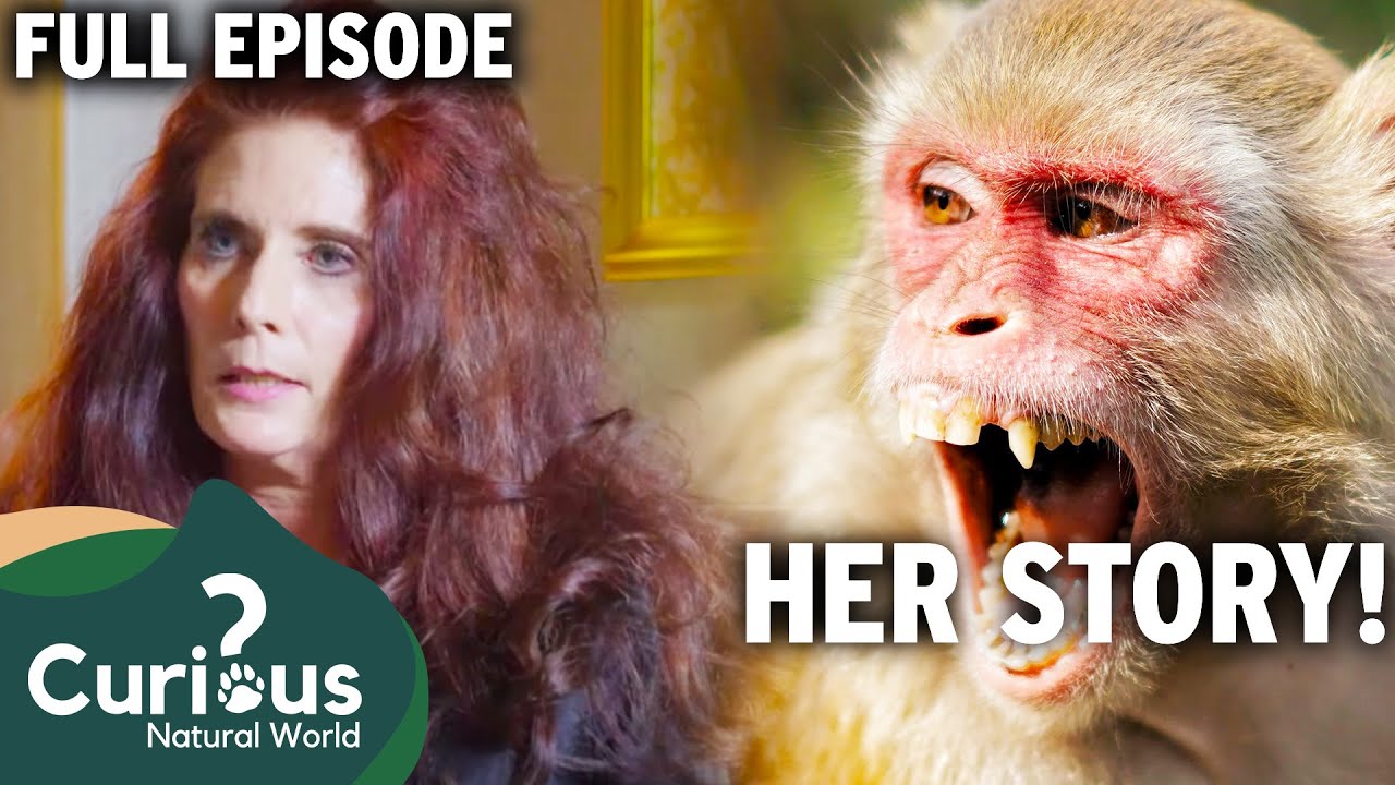 The "Monkey Whisperer" Tells Her TRUE Story | Full Episode | Curious?: Natural World - YouTube