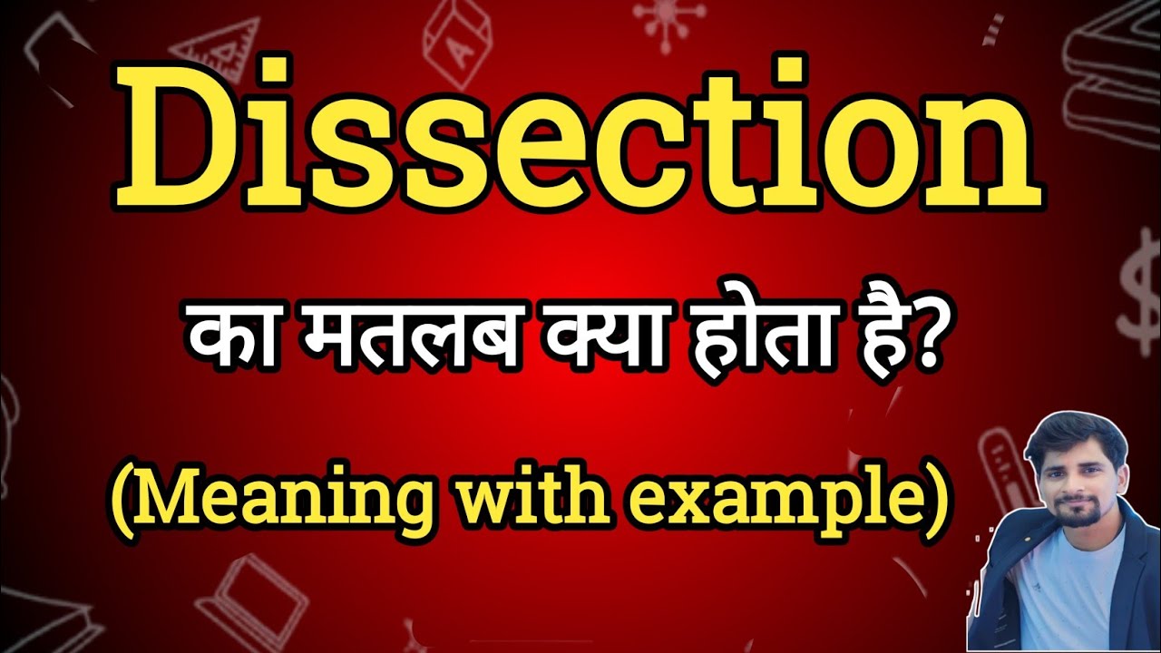 Dissection Meaning in Hindi | Dissection Ka Matlab kya Hota hai ...