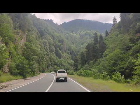 Karadeniz müziği eşliğinde Ayder yolu 4K - Rize Ayder Yolu 3