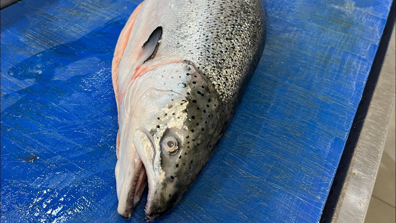 How to clean a salmon fish full video(part-2 - YouTube
