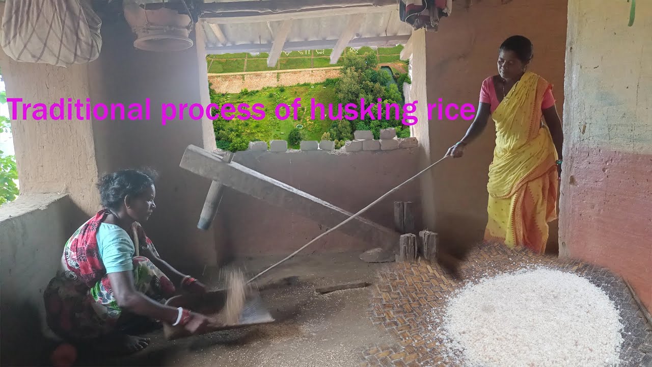 || Traditional process of husking rice | santali women husking rice in ...