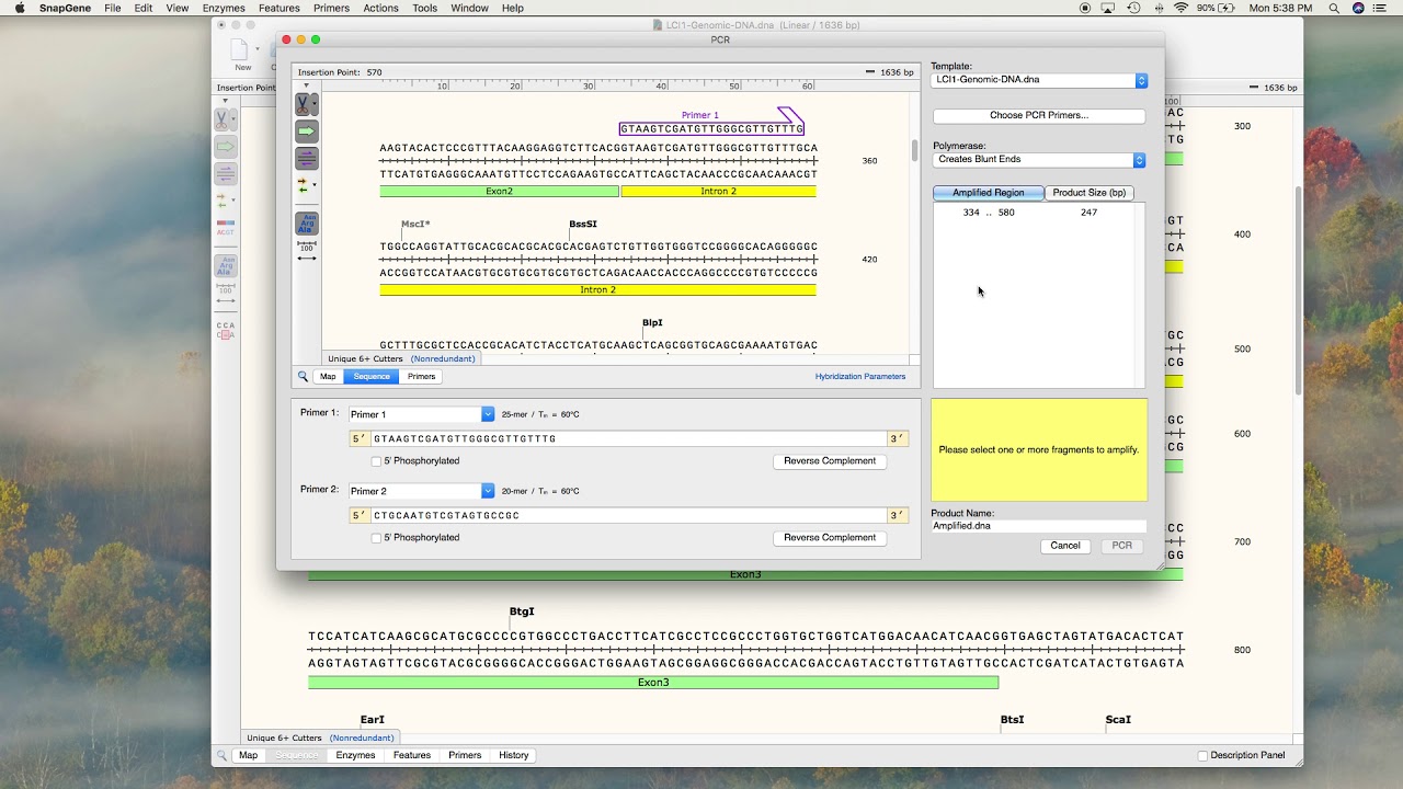 SnapGene Tutorial Part 3 Primers Design and PCR - YouTube