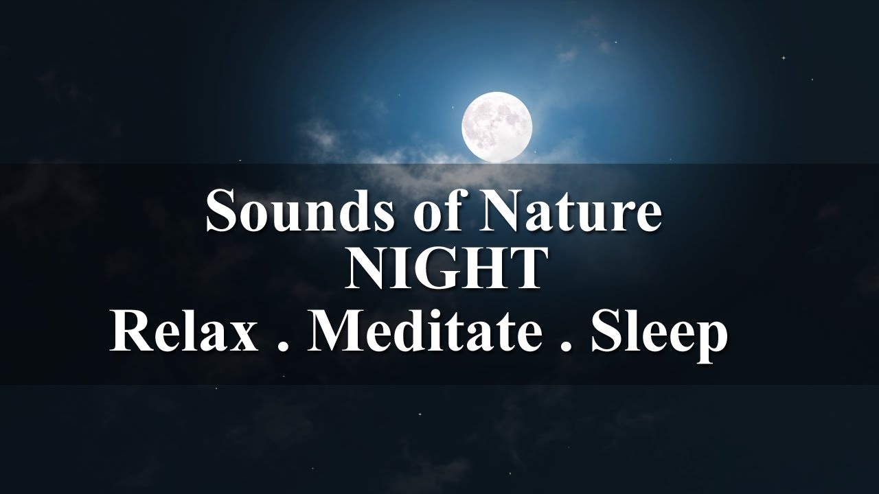 Sounds of Nature: Night Relax Meditate Sleep - YouTube