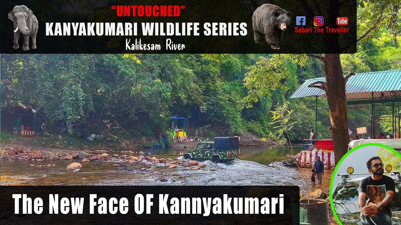 KALIKESAM WATER FALLS | KANYAKUMARI WILDLIFE SANCTUARY | PLACES TO ...