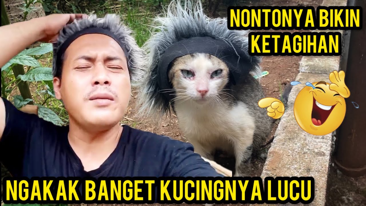 VIDEO KUCING LUCU BANGET PAKE RAMBUT PENGASUHNYA..‼️ - YouTube