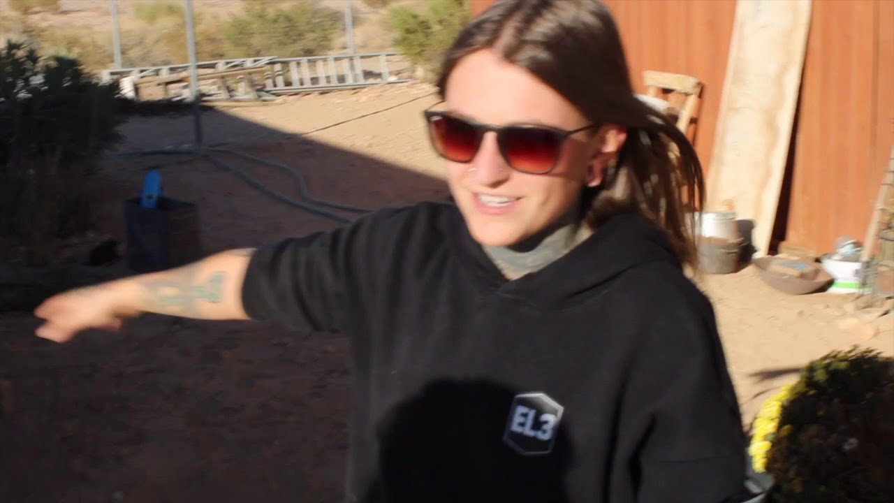 Rattlesnake Wrangler Danielle Wall Rescues Sidewinder - YouTube