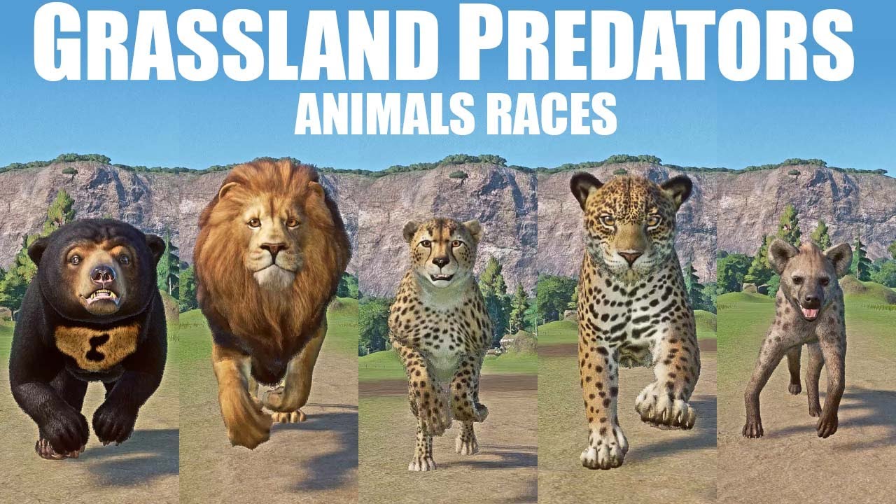 Grassland Predators Animals Races in Planet Zoo in 4K UHD included Sun ...