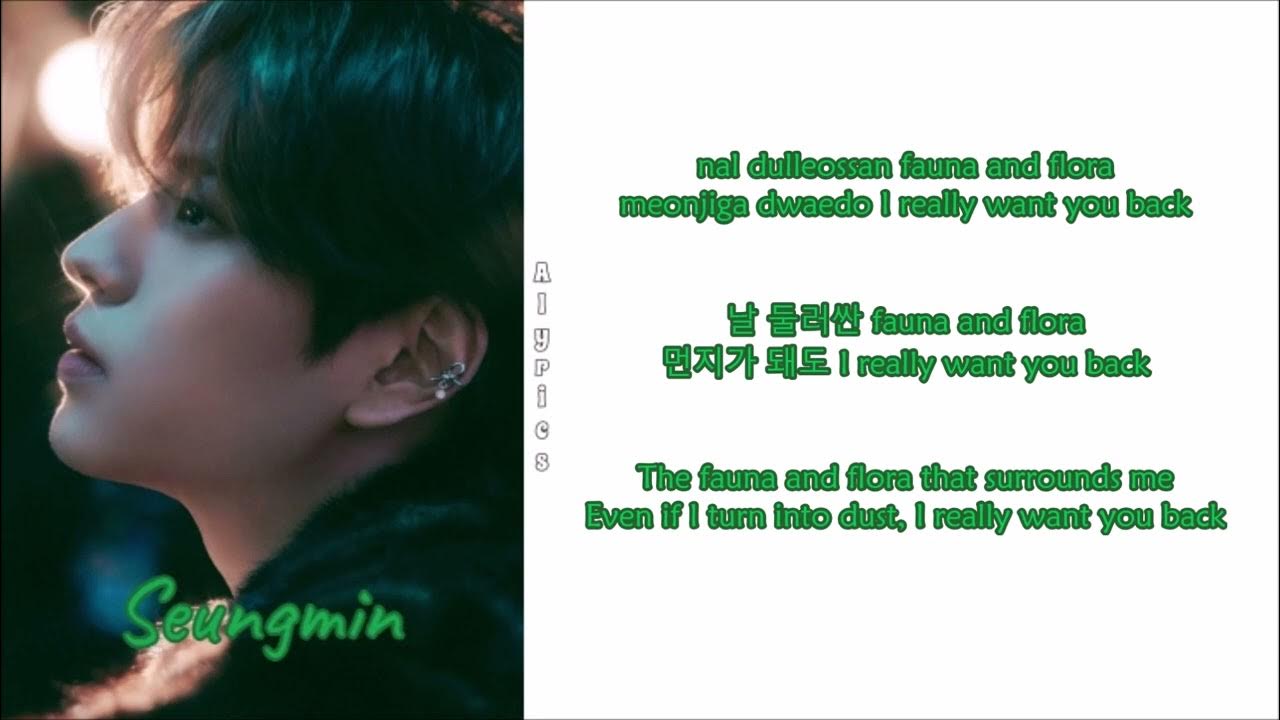 Stray Kids - FNF (Rom-Han-Eng Lyrics) Color & Picture Coded - YouTube