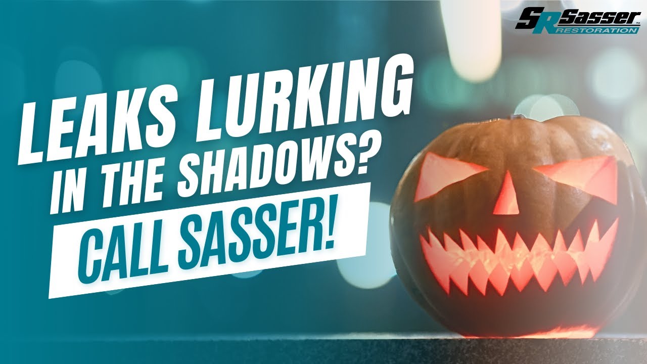 Spooky Fast Disaster Recovery | Sasser Restoration - YouTube