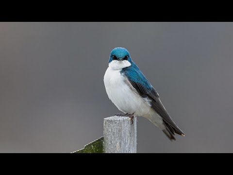 Last Weekend in March 2024 - YouTube