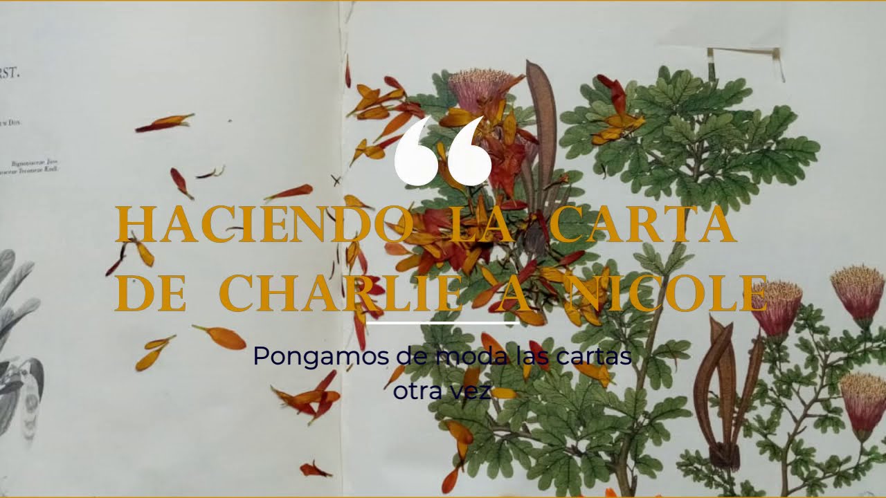 CARTA DE CHARLIE A NICOLE - MARRIAGE HISTORY (Historia de un matrimonio) - YouTube