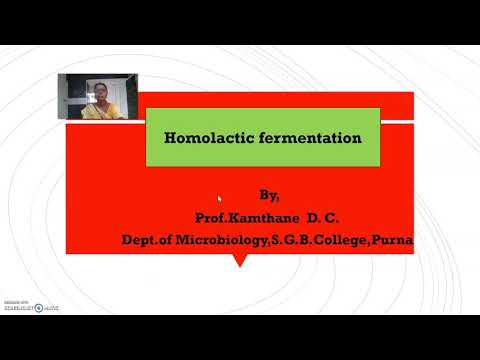 Homolactic fermentation by Prof.Kamthane D.C. - YouTube