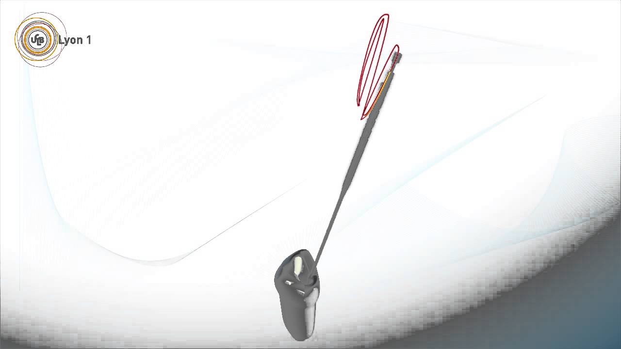 Les forêts de Gates - YouTube