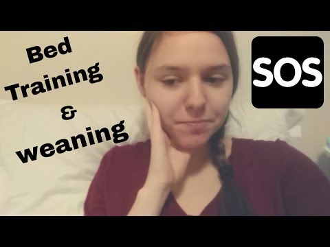 Bed Training + Weaning off breastfeeding | Agnes Grabinski