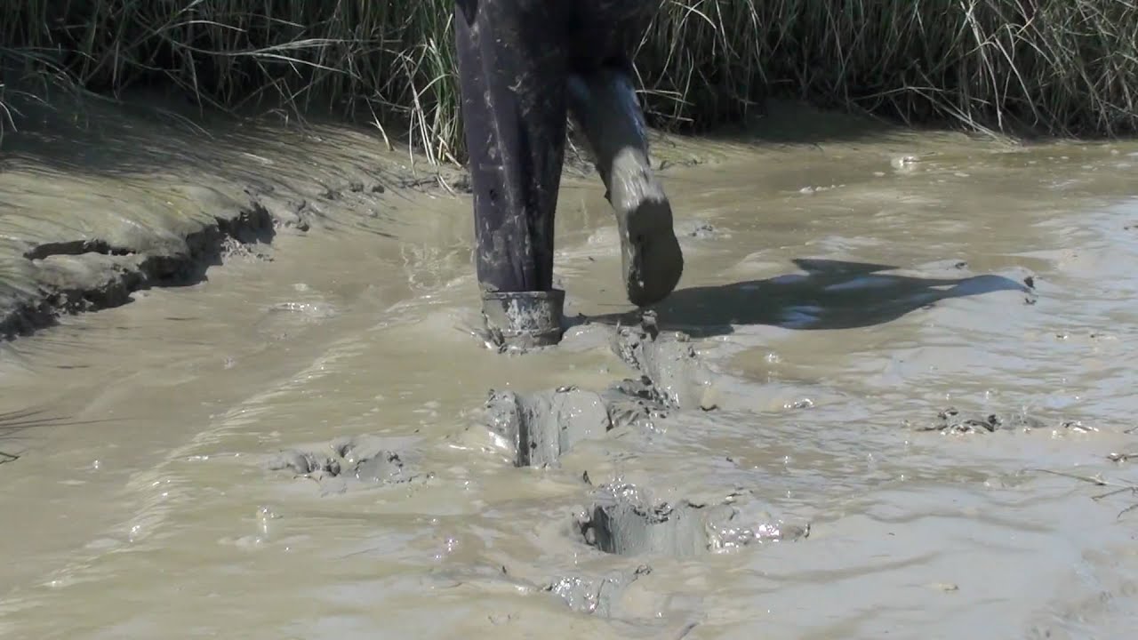deep noisy mud walk close up - YouTube