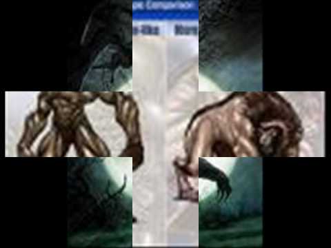 hullu.wmv