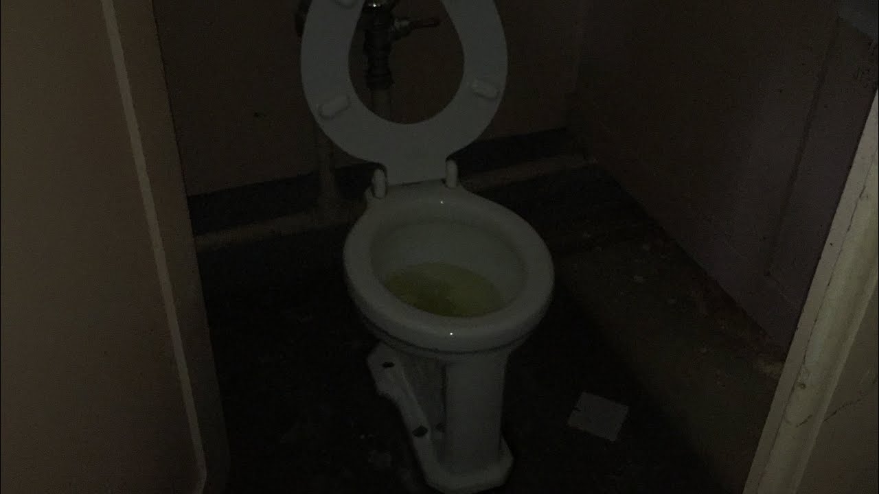 [775] Two more 1960's "Standard" Modernus toilets on flushometer - YouTube