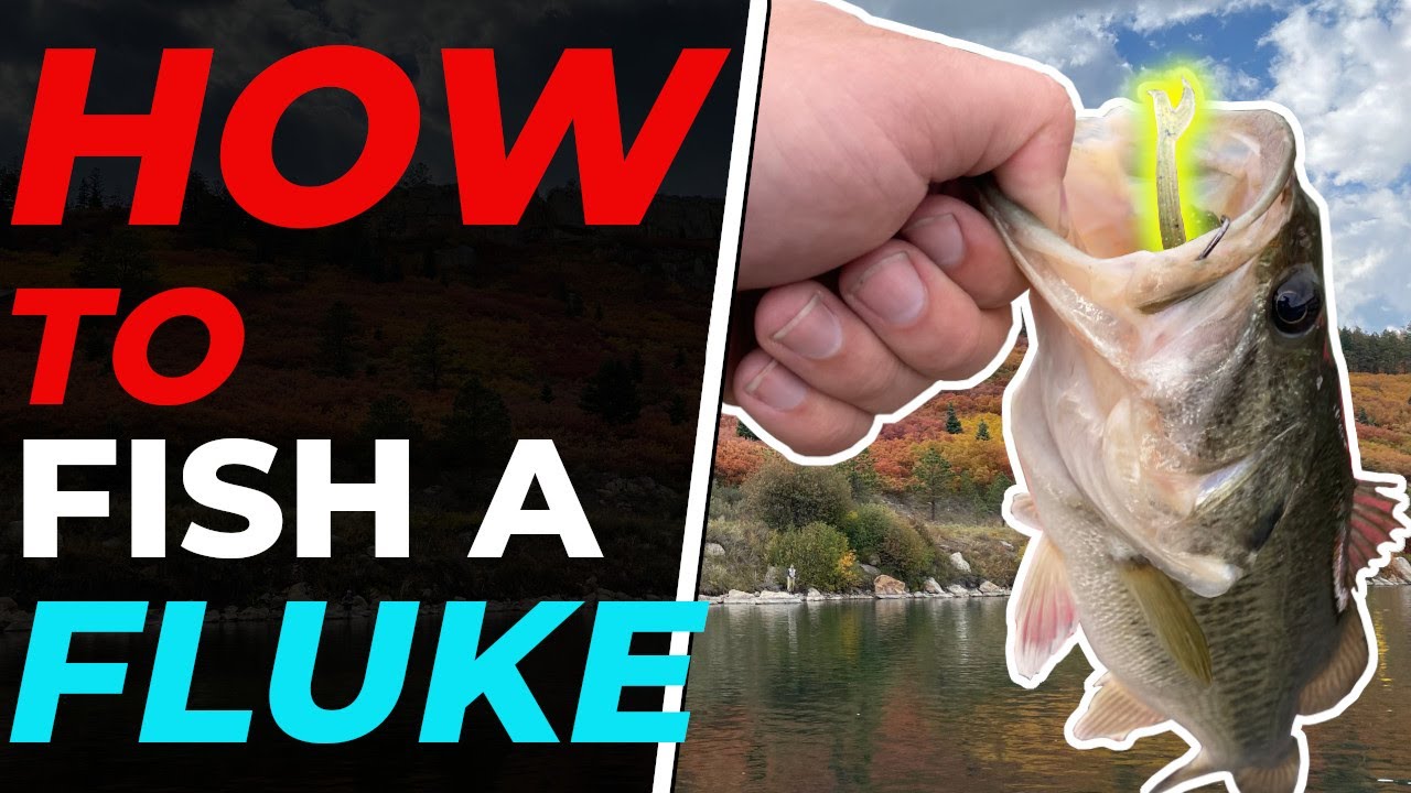 How to Fish a Fluke for Bass | How to Rig a Fluke - YouTube