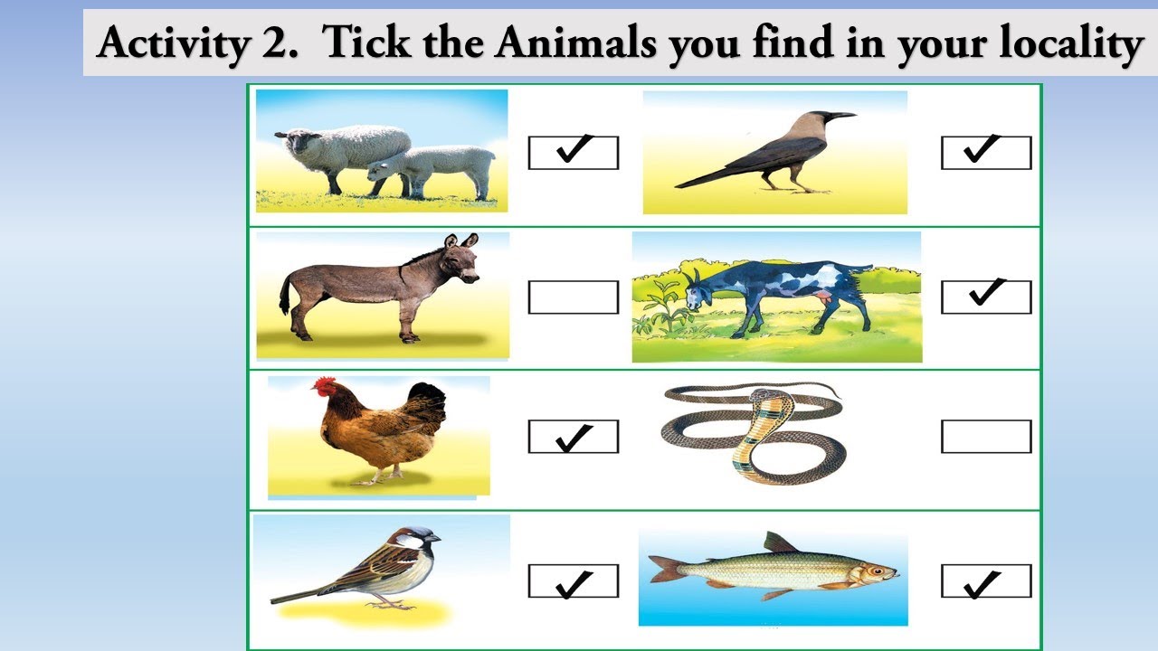 Animals Around Us | CBSE class1 EVS | NCERT class1 EVS| Mark the ...