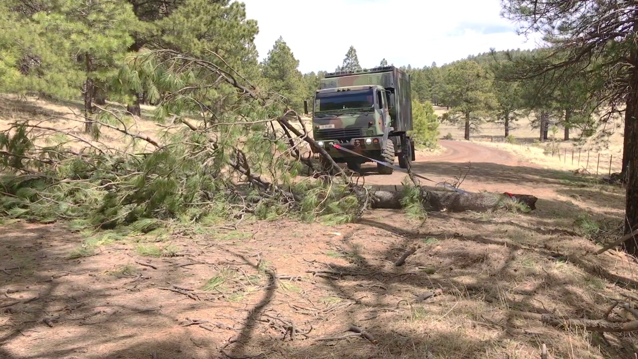 Pulling a tree out of the road with Brutus - YouTube