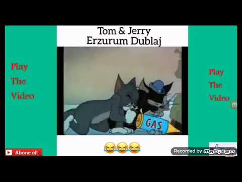 Erzurumlu tom ve jerry