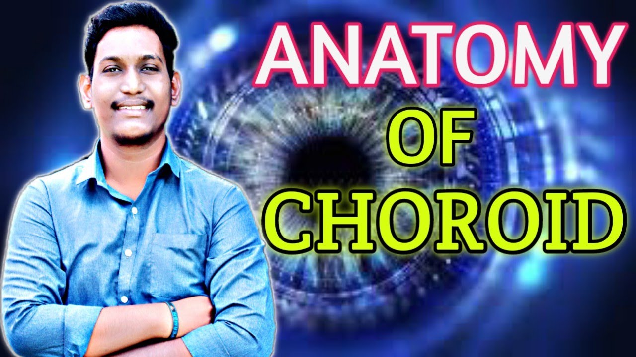 anatomy of choroid ||choroid anatomy ||choroid eye anatomy || VISION ...
