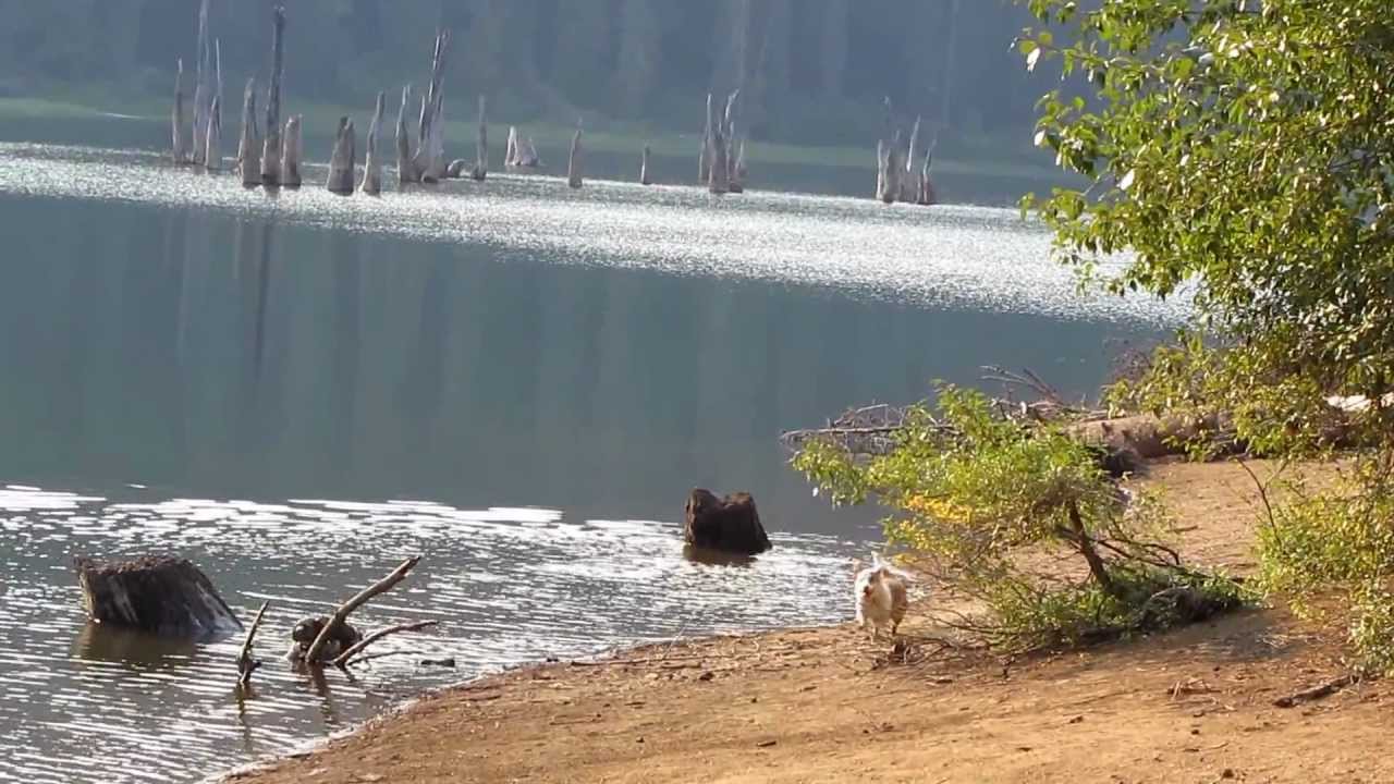 Suburban Eschatology Part Two: Goose Lake, Washington September 16 ...